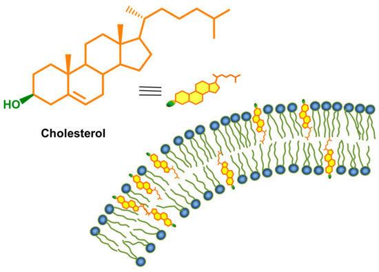 Polymeric Drug Delivery Systems Bearing Cholesterol Moieties: A Review