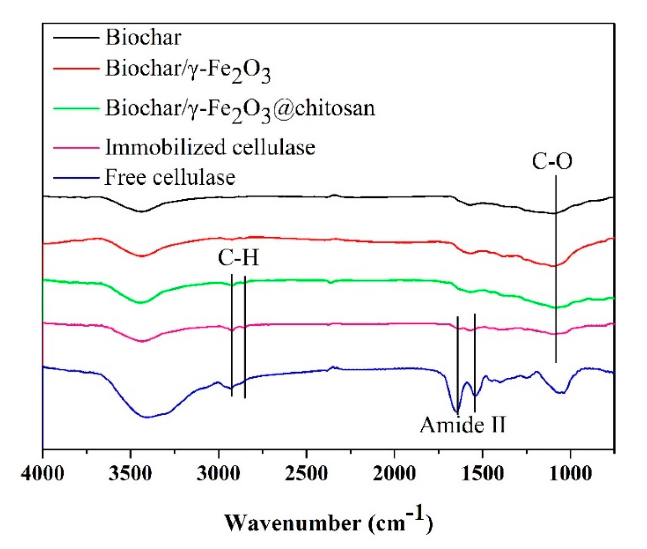 Preparation of Chitosan/Magnetic Porous Biochar as Support for ...
