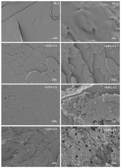 The Impact of the Addition of Compatibilizers on Poly (lactic acid ...