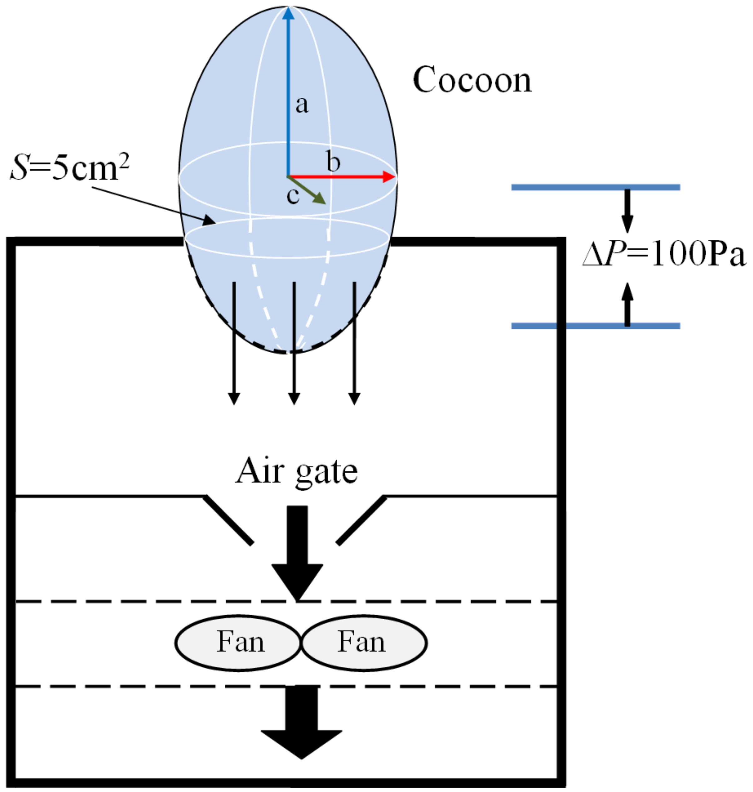 Structure and Functions of Cocoons Constructed by Eri Silkworm