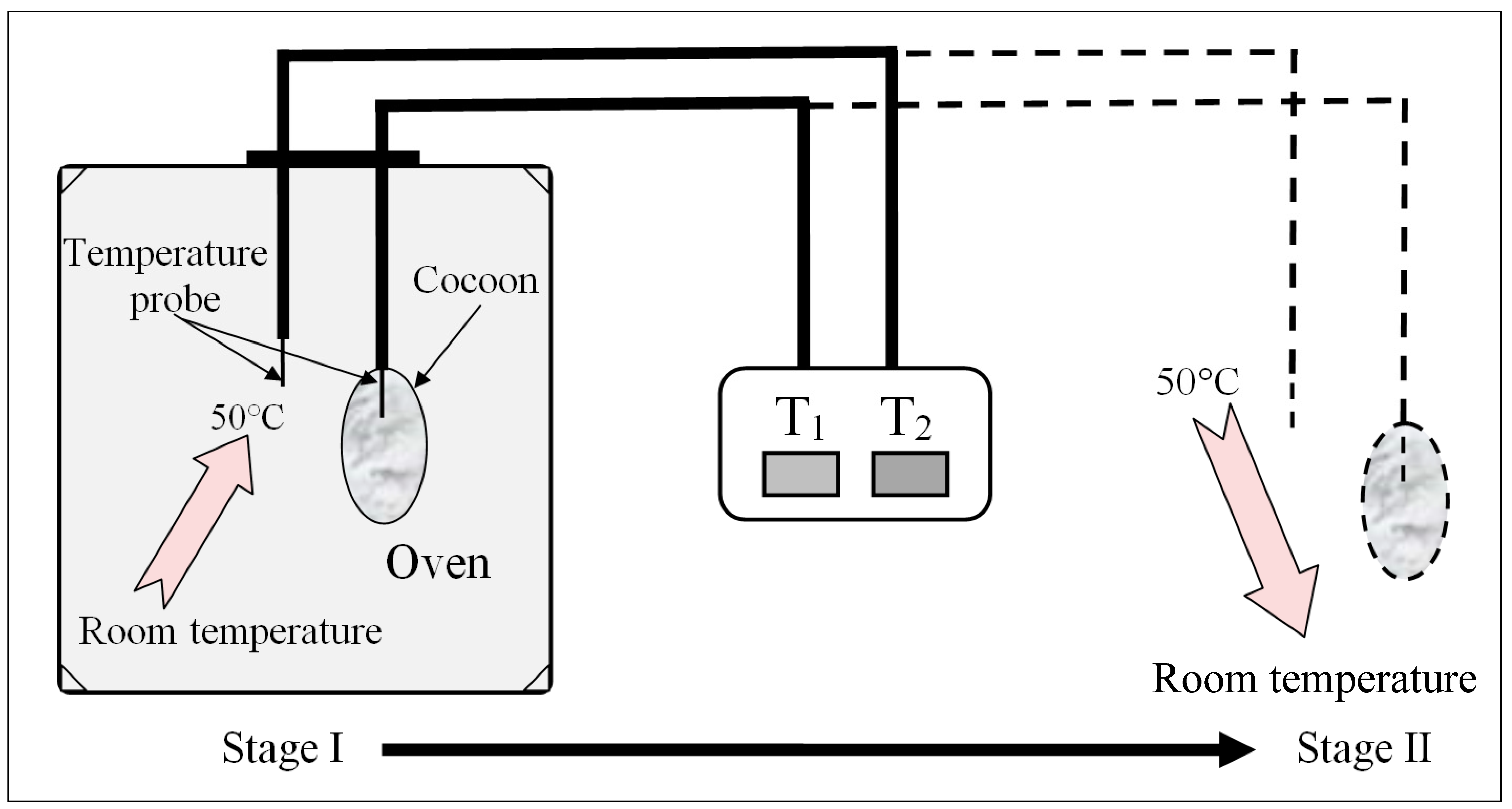 Structure and Functions of Cocoons Constructed by Eri Silkworm