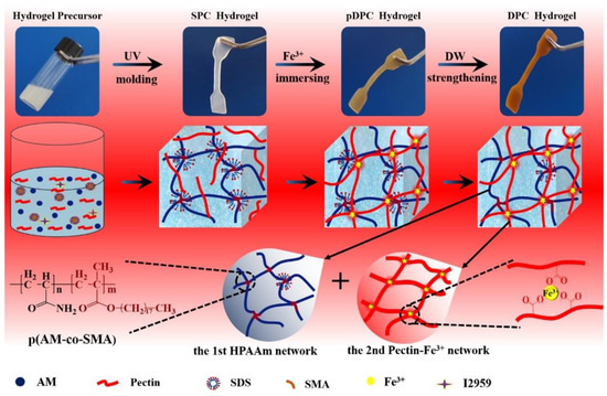 Fundamental Concepts of Hydrogels: Synthesis, Properties, and Their ...