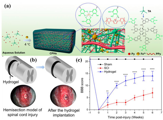 Fundamental Concepts of Hydrogels: Synthesis, Properties, and Their ...