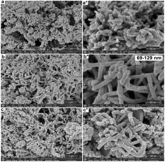 3D Polyaniline Nanofibers Anchored on Carbon Paper for High-Performance ...