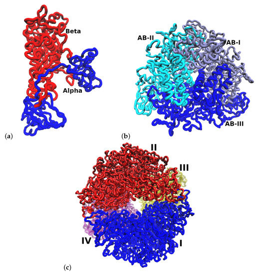 Effect of pH on the Supramolecular Structure of Helicobacter pylori ...