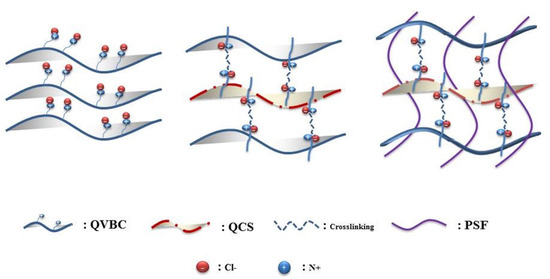 Quaternized Chitosan-Based Anion Exchange Membrane Composited with ...