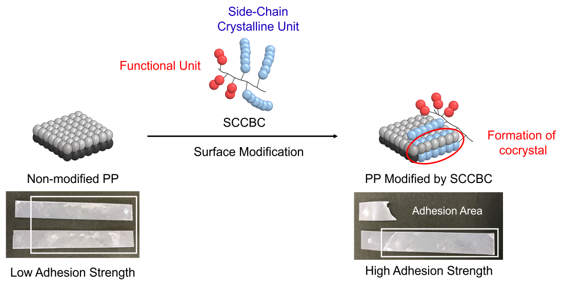 Polymers | Free Full-Text | Enhancement of the Surface Properties on ...