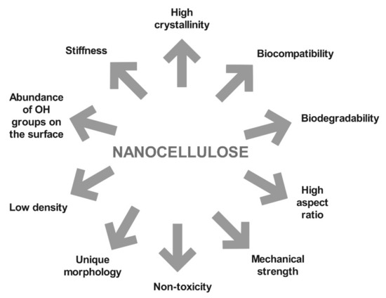 Nanocellulose in Drug Delivery and Antimicrobially Active Materials