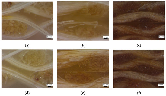 Mechanical Properties of Natural-Fiber-Reinforced Biobased Epoxy Resins ...