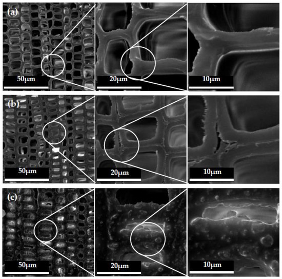 Hollow Mesoporous Microspheres Coating for Super-Hydrophobicity Wood ...