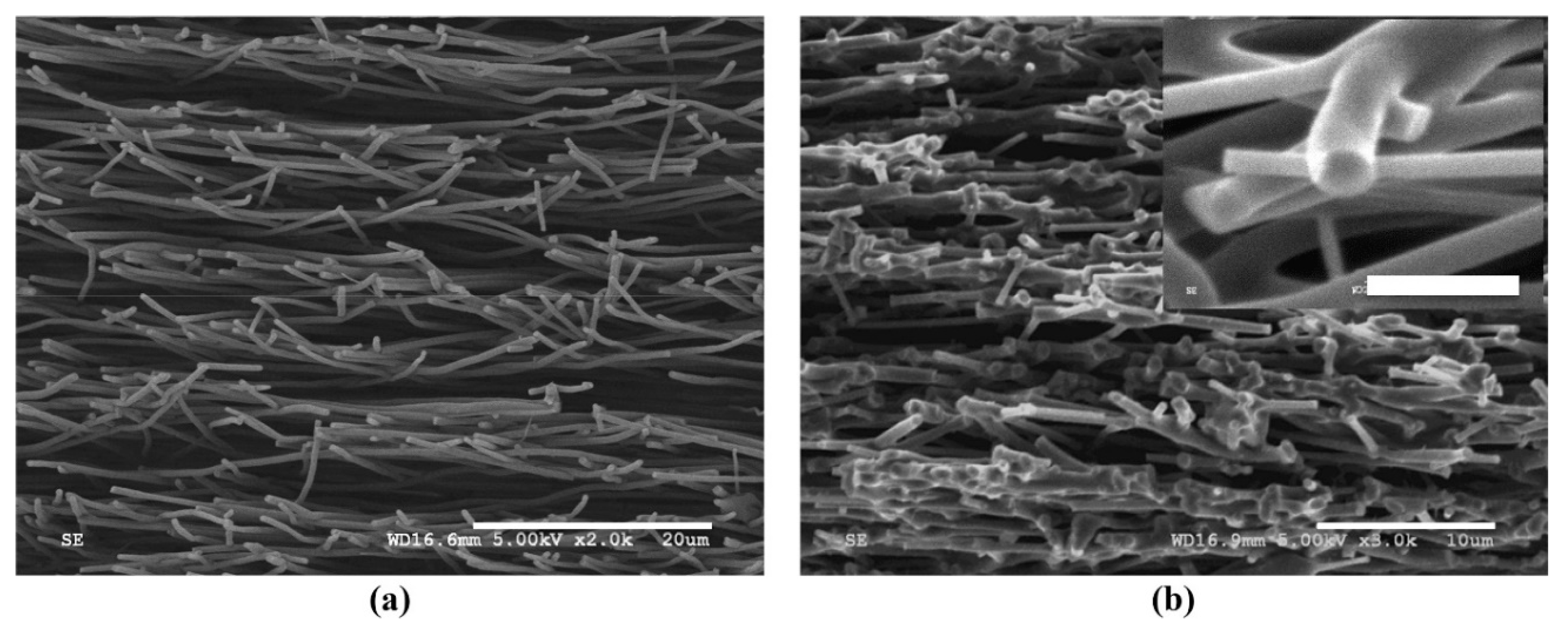 State of the Art and New Directions on Electrospun Lignin/Cellulose ...