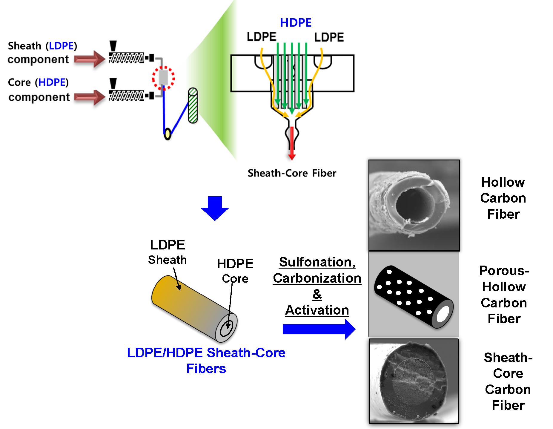 Polymers | Free Full-Text | Fabrication of Activated Carbon Fibers with Sheath-Core, Hollow, or ...