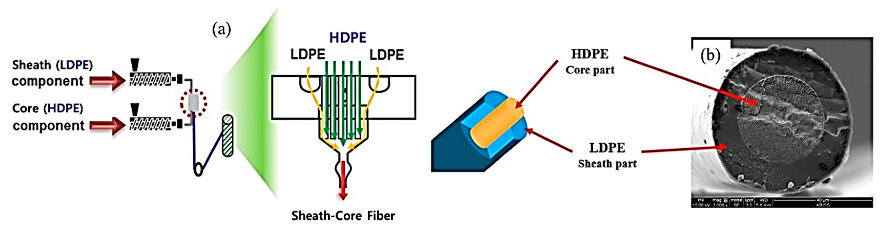 Fabrication of Activated Carbon Fibers with Sheath-Core, Hollow, or ...