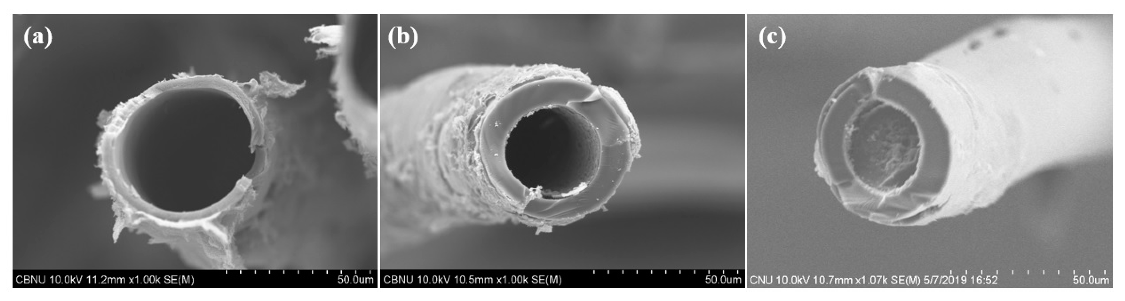 Fabrication of Activated Carbon Fibers with Sheath-Core, Hollow, or ...