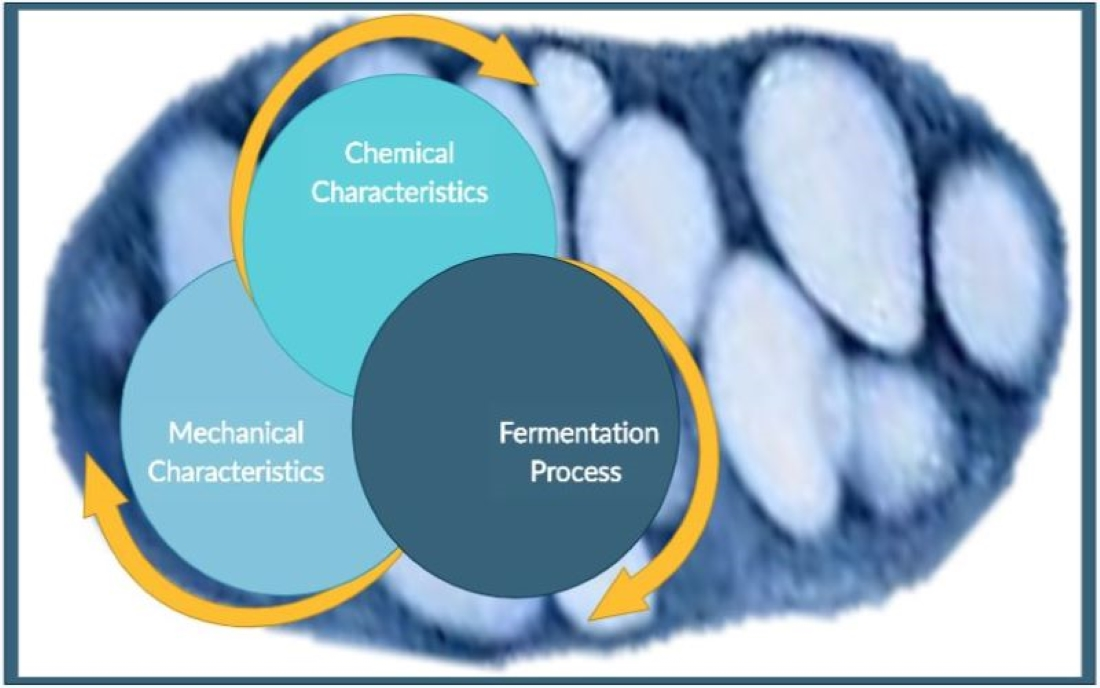 Polymers | Free Full-Text | Production of Polyhydroxybutyrate (PHB) and ...