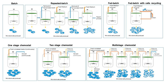 Production of Polyhydroxybutyrate (PHB) and Factors Impacting Its ...