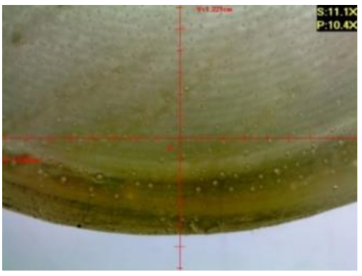 The Impact of the Acidic Environment on the Mechanical Properties of ...