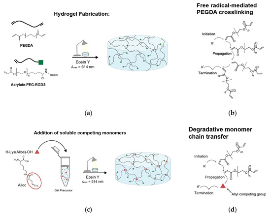 Modulating Functionalized Poly(ethylene glycol) Diacrylate Hydrogel ...