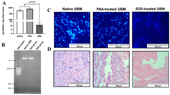 Polymers | Free Full-Text | Characterization of Porcine Urinary Bladder Matrix Hydrogels from ...