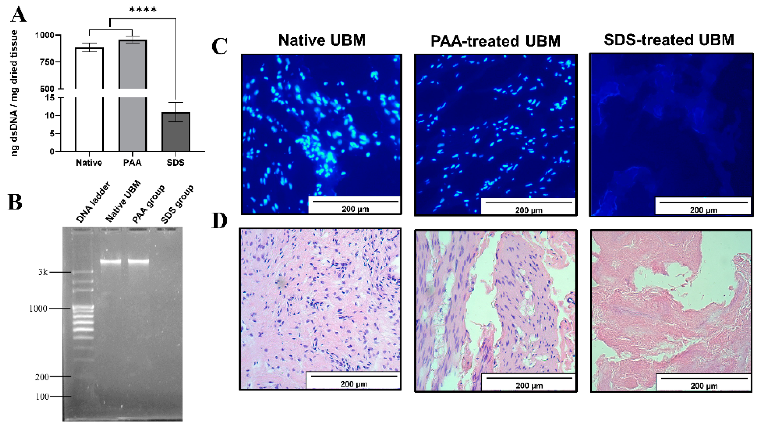 Characterization of Porcine Urinary Bladder Matrix Hydrogels from ...