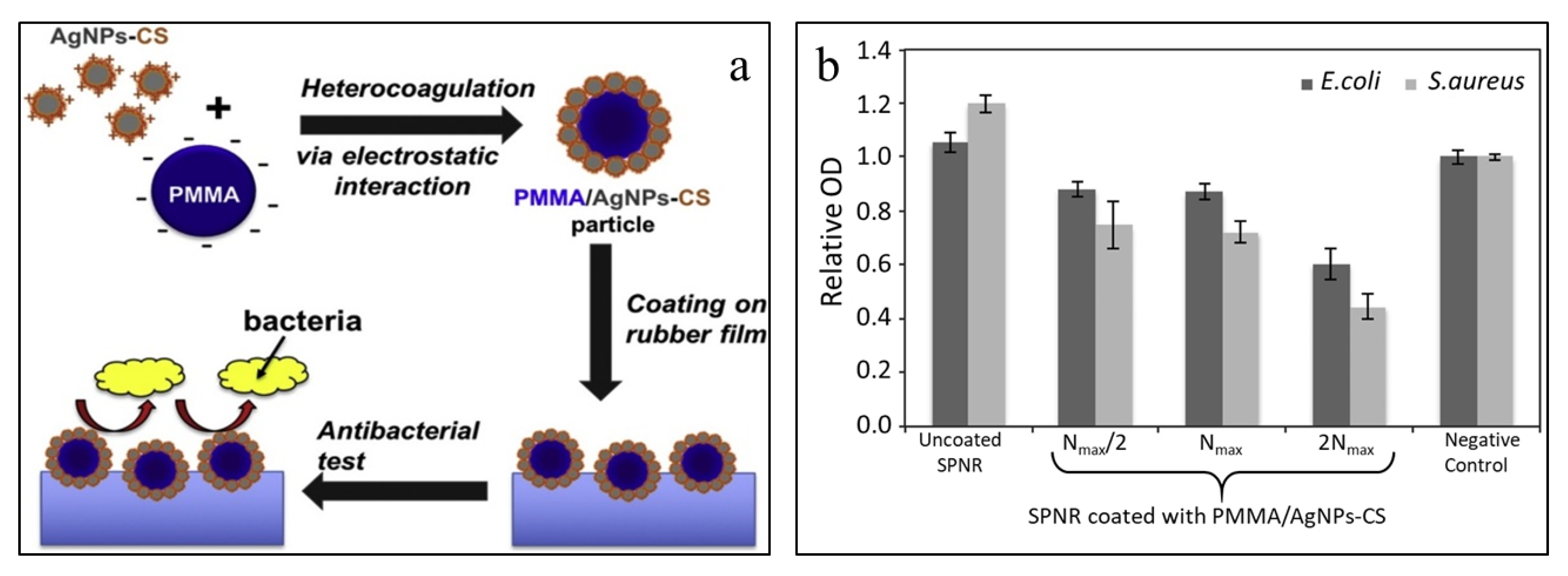 Biopolymer Coatings for Biomedical Applications