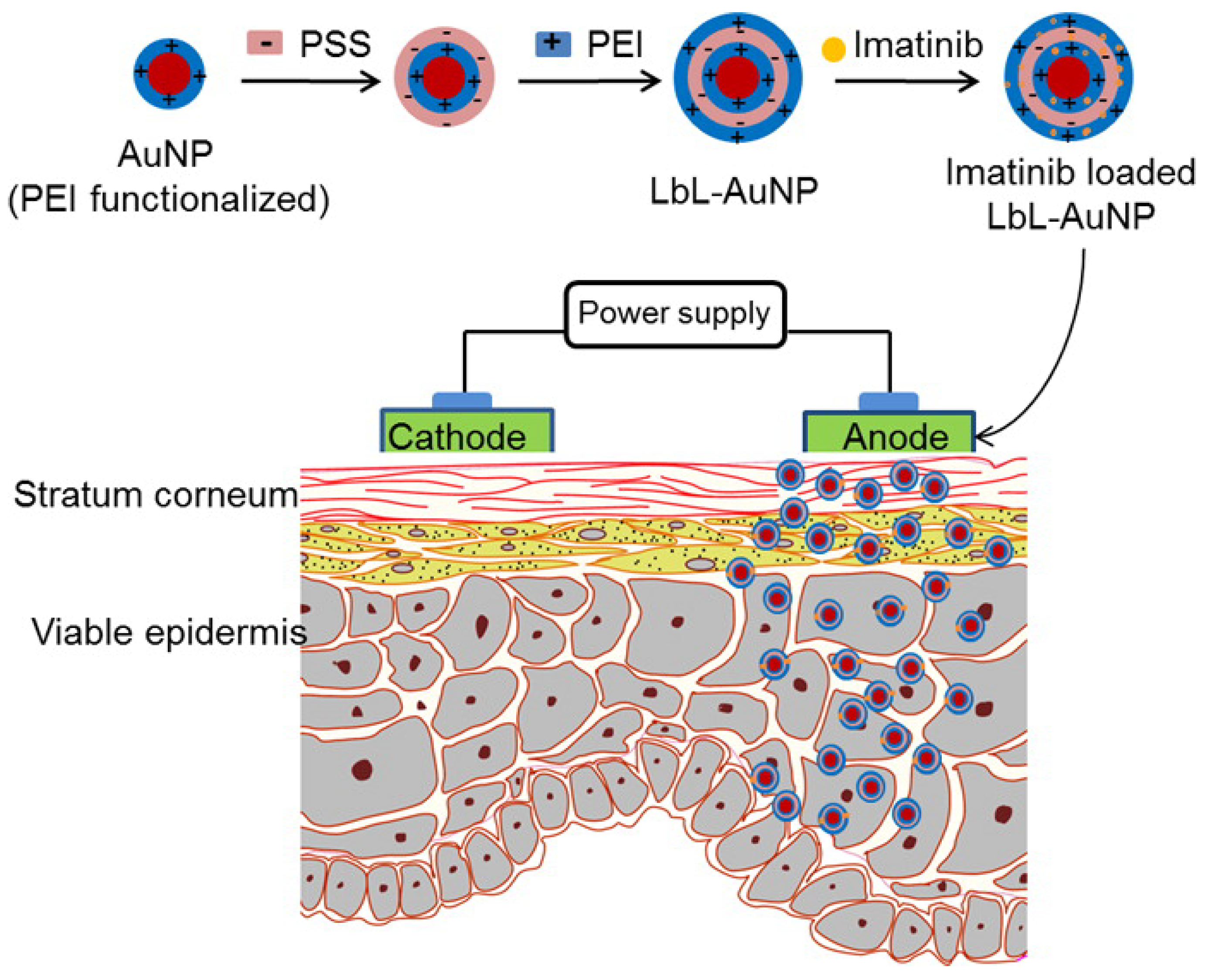 Biopolymer Coatings for Biomedical Applications