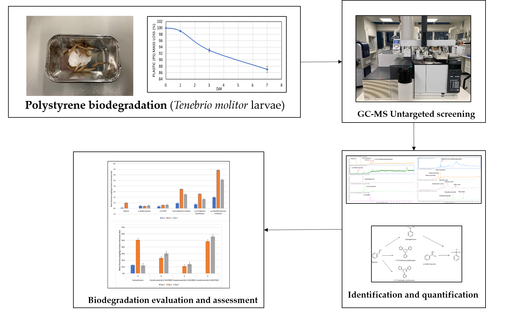 Polymers | Free Full-Text | Polystyrene Biodegradation by Tenebrio ...