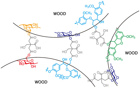 Bond Structures between Wood Components and Citric Acid in Wood-Based ...