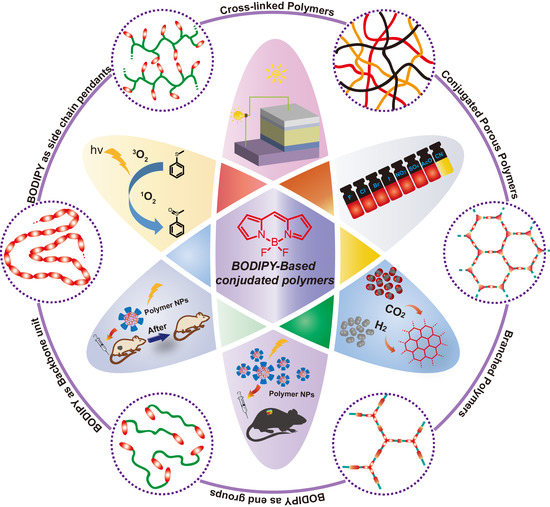 Polymers | Free Full-Text | Architectures and Applications of BODIPY ...