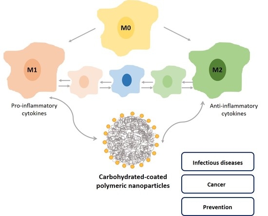 Polymers | Free Full-Text | Modulation of Macrophages M1/M2 ...