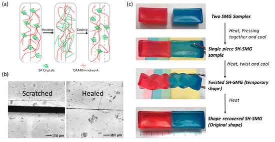 Light Scattering and Rheological Studies of 3D/4D Printable Shape Memory Gels Based on Poly (N,N ...