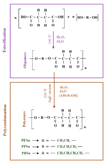 Low Molecular Weight Oligomers of Poly(alkylene succinate) Polyesters ...