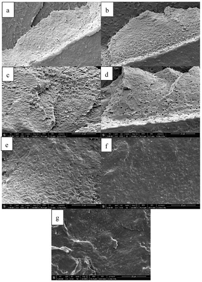 Poly(lactic acid) (PLA)/Poly(butylene succinate-co-adipate) (PBSA ...