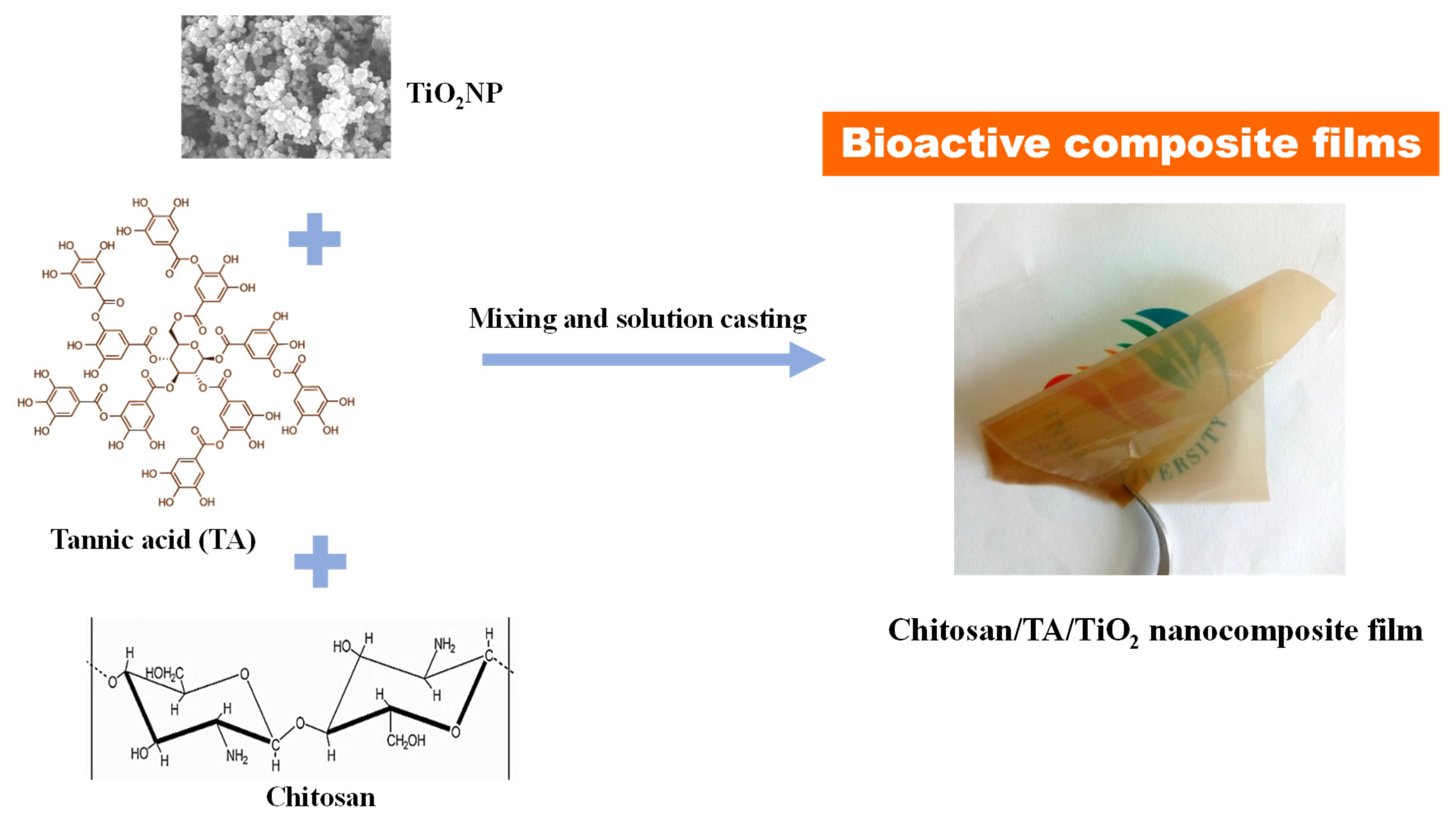 Polymers Free Full Text Tannic Acid Cross Linked And Tio2