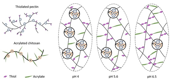 Polymers | Special Issue : Polymers for Pharmaceutical Applications II