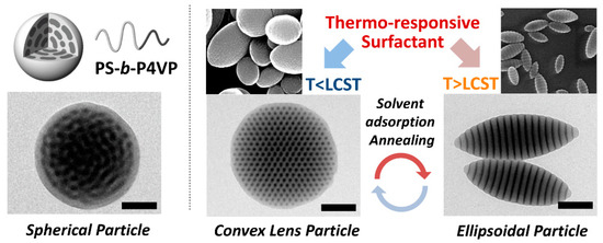 Responsive Nanostructured Polymer Particles