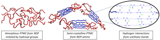 Synthesis of Poly(Trimethylene Carbonate) from Amine Group Initiation ...