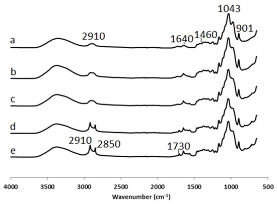 Synthesis and Characterization of Hydrophobically Modified Xylans