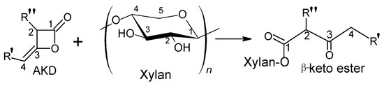 Synthesis and Characterization of Hydrophobically Modified Xylans
