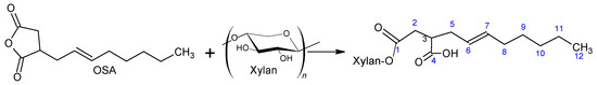 Synthesis and Characterization of Hydrophobically Modified Xylans