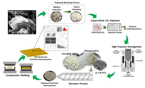 Polymers | Free Full-Text | Isolation of Textile Waste Cellulose ...
