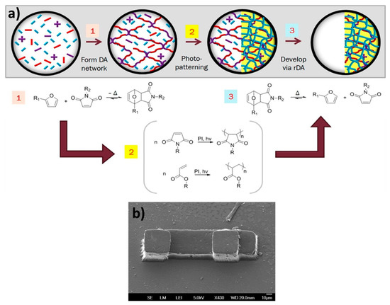 Dually Crosslinked Polymer Networks Incorporating Dynamic Covalent Bonds