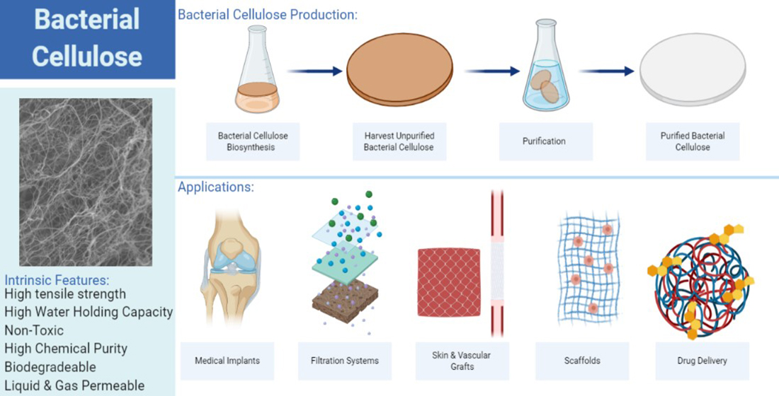 Polymers | Free Full-Text | Recent Advances and Applications of ...