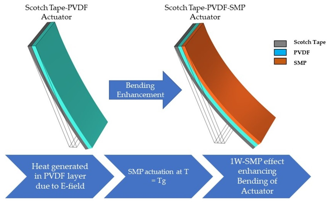 Polymers | Free Full-Text | Integration of SMP with PVDF Unimorph for ...