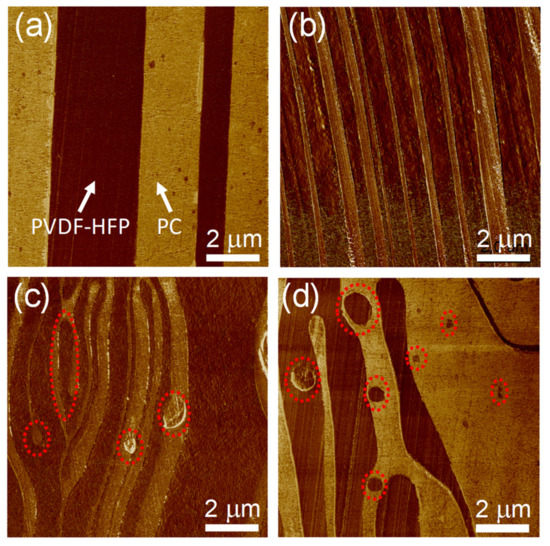 Interfacial Phenomena in Multi-Micro-/Nanolayered Polymer Coextrusion ...