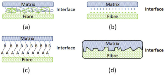 Importance of Interfacial Adhesion Condition on Characterization of Plant-Fiber-Reinforced ...