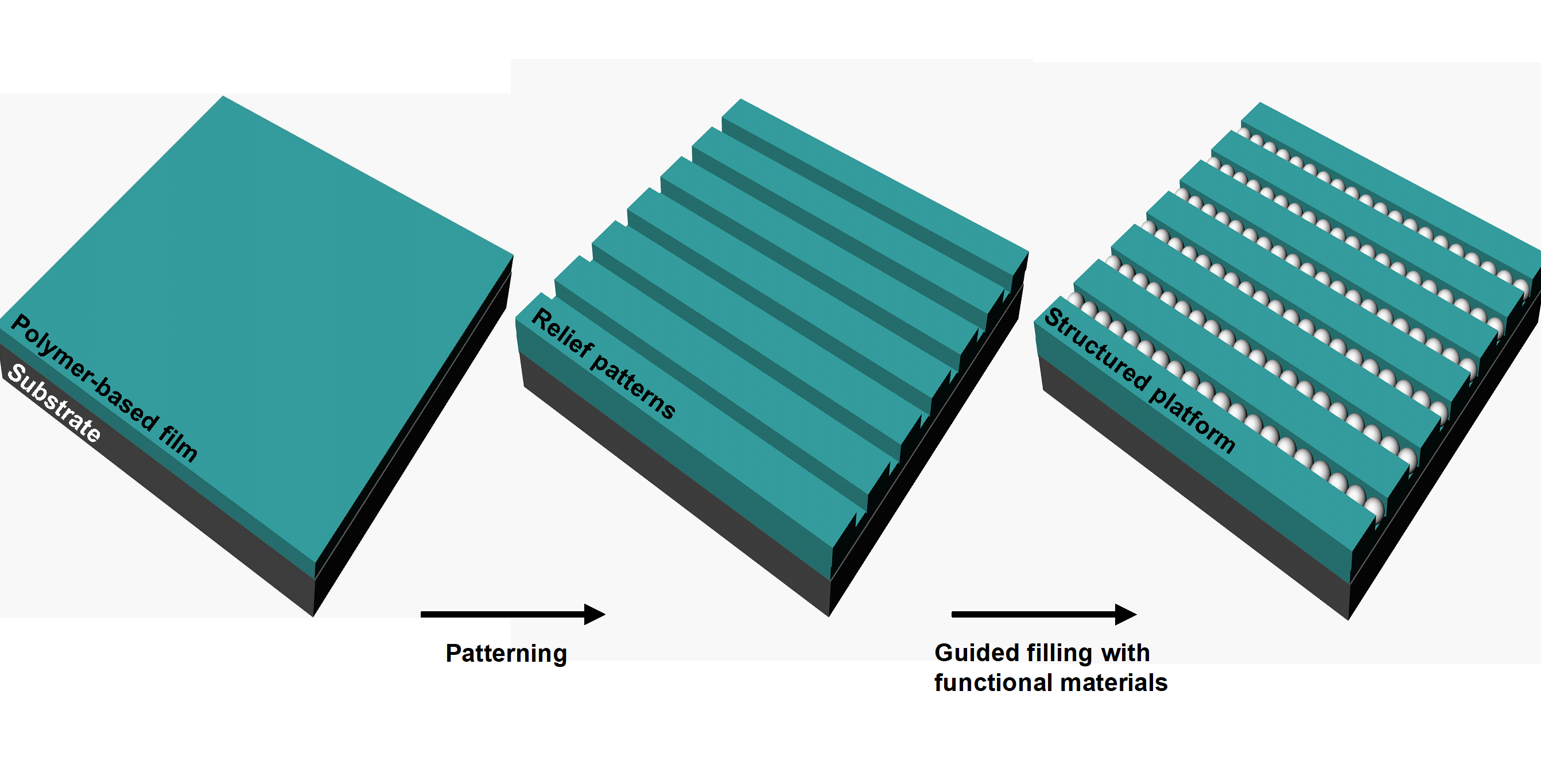 Polymers | Free Full-Text | Multifunctional Structured Platforms: From ...