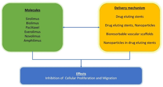 The Use of Bioactive Polymers for Intervention and Tissue Engineering ...