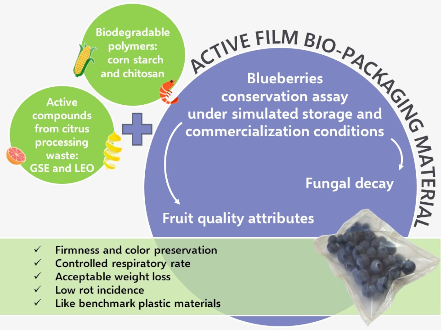 Polymers | Free Full-Text | Bio-Packaging Material Impact on ...