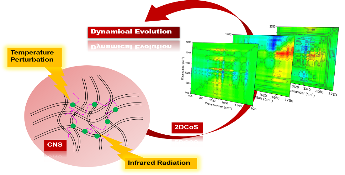 Polymers | Free Full-Text | 2D Correlation Spectroscopy (2DCoS ...